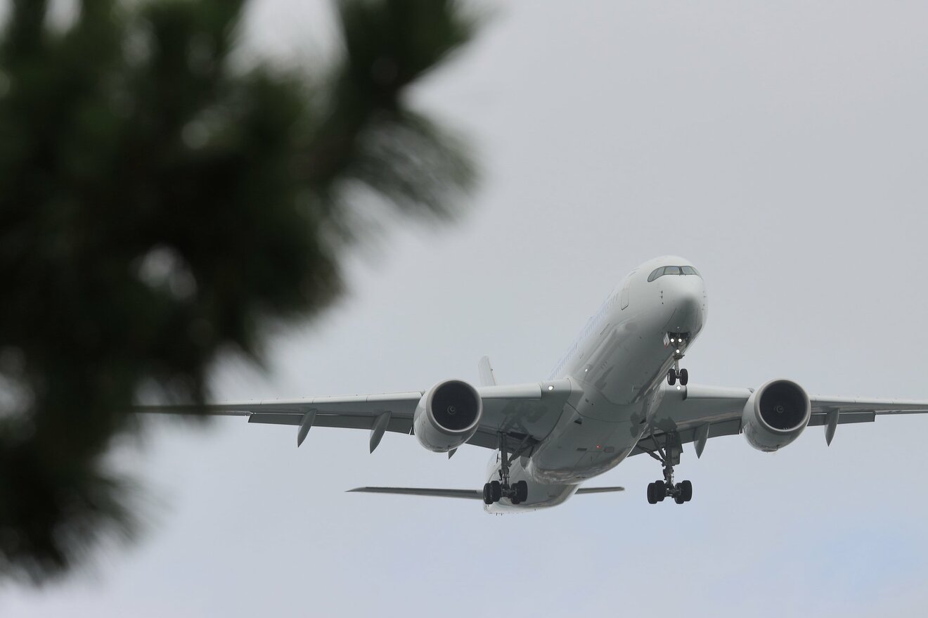 「条件付き運航で…」楽しみだった新婚旅行が一転、夫婦を襲った「秋台風の試練」(1/3) | Finasee（フィナシー）