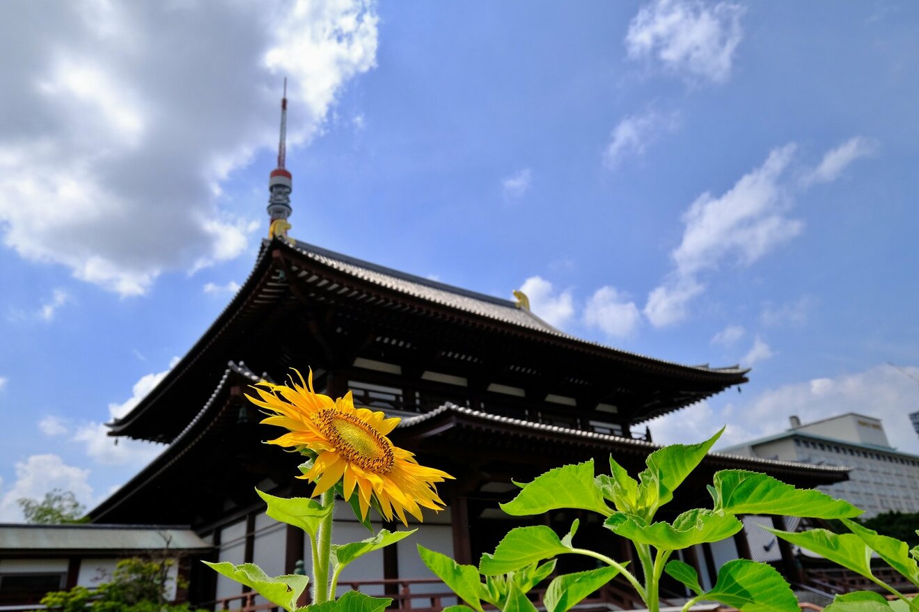 賛否渦巻く安倍元首相の功績…株価2倍超に上昇、景気回復で資産増加？(1/3) | Finasee（フィナシー）