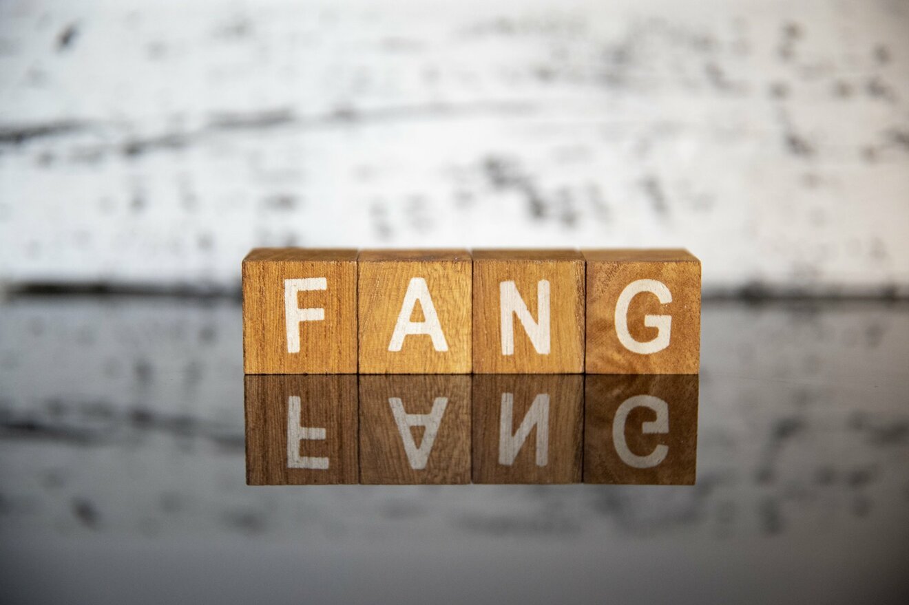 ネット証券で首位の“eMAXIS Slimオルカン”を追いかける「iFreeNEXT FANG＋インデックス」の正体は？(1/2) | Finasee（フィナシー）