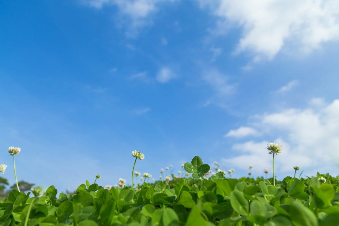 「4000万円貯めるのと同じ幸せ」を得るためにできるたった1つの大切なこと(1/3) | Finasee（フィナシー）