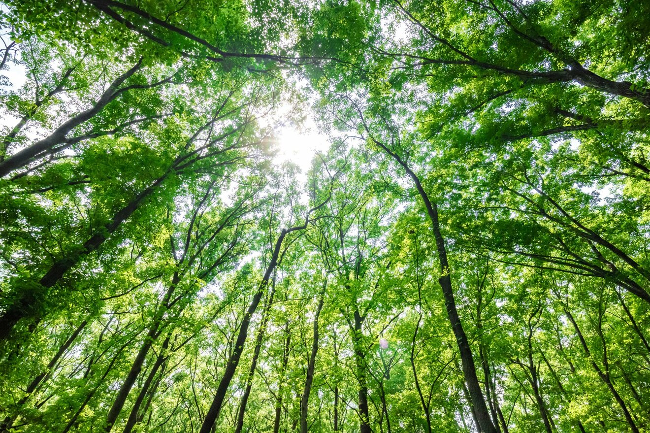 運用会社に聞く―BNPパリバ・アセットマネジメント(1/3) | Finasee（フィナシー）