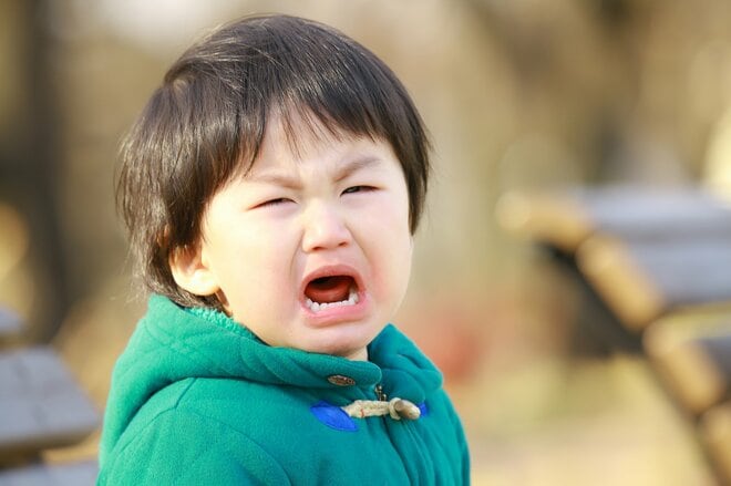 「口を出さないでください！」52歳の新米女性保育士に立ちはだかる“モンスター親子”の「ありえない子育て」(1/3) | Finasee（フィナシー）