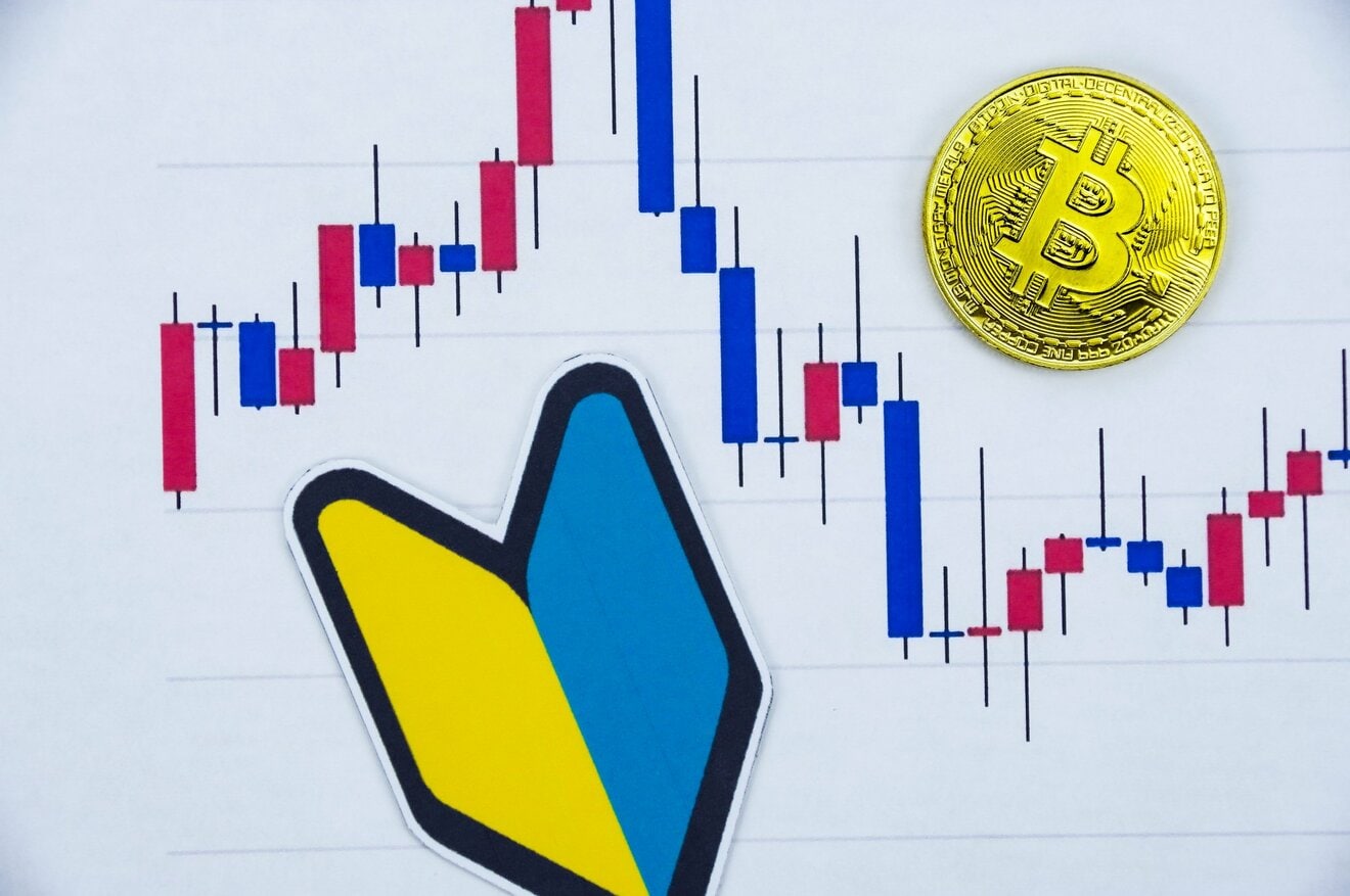 脱投資初心者を目指す人が陥りがちな「落とし穴」。積立は必ず報われる？(1/3) | Finasee（フィナシー）