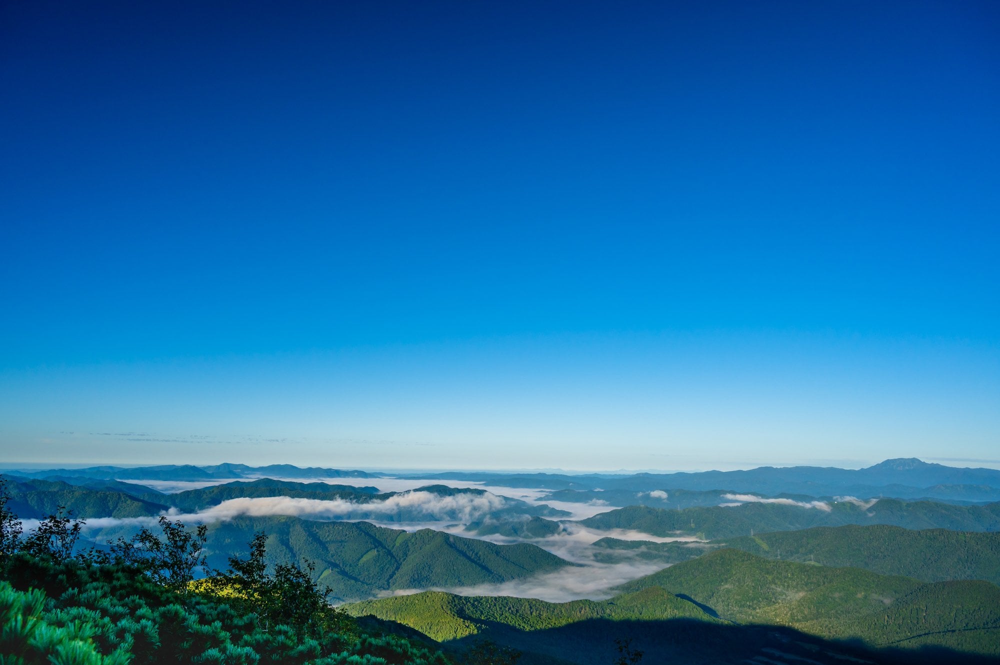 運用会社に聞く―インベスコ・アセット・マネジメント(1/3) | Finasee（フィナシー）